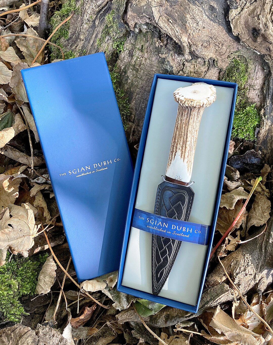 Scottish Staghorn Crown Sgian Dubh With Walnut & Leather Sheath Made in ...