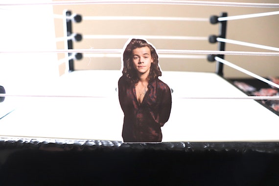 Paper Stickers, Labels & Tags Harry Styles Sticker #6 One Direction, 1D ...