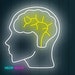 Head With Brain Neon Sign, Human Head With Brain Led Sign, Human Organ ...