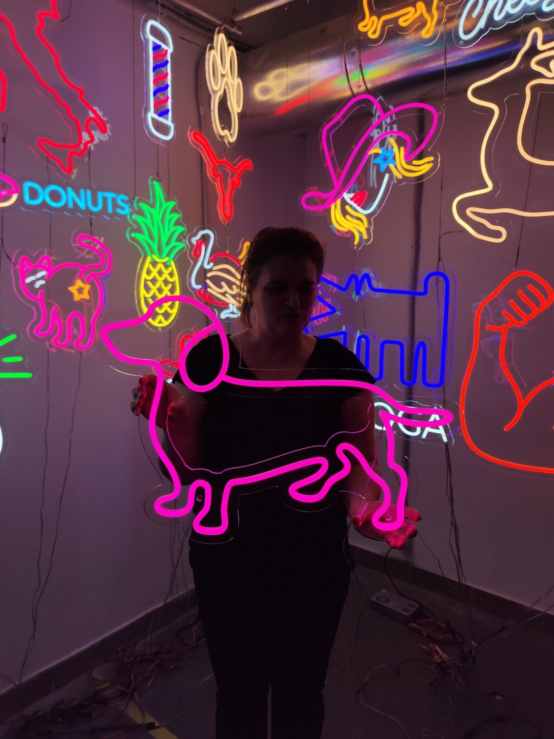 Dachshund Neon Sign, Dog LED Neon, Badger Dog Lights, Animals Led Sign ...