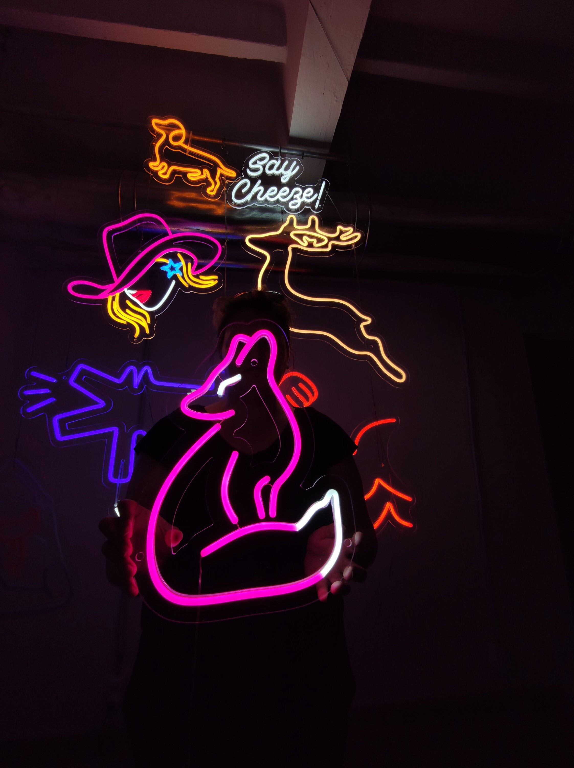 Fox Neon Sign, Fox Light up Sign, Animal Led Light, Animal Sign for Pet ...