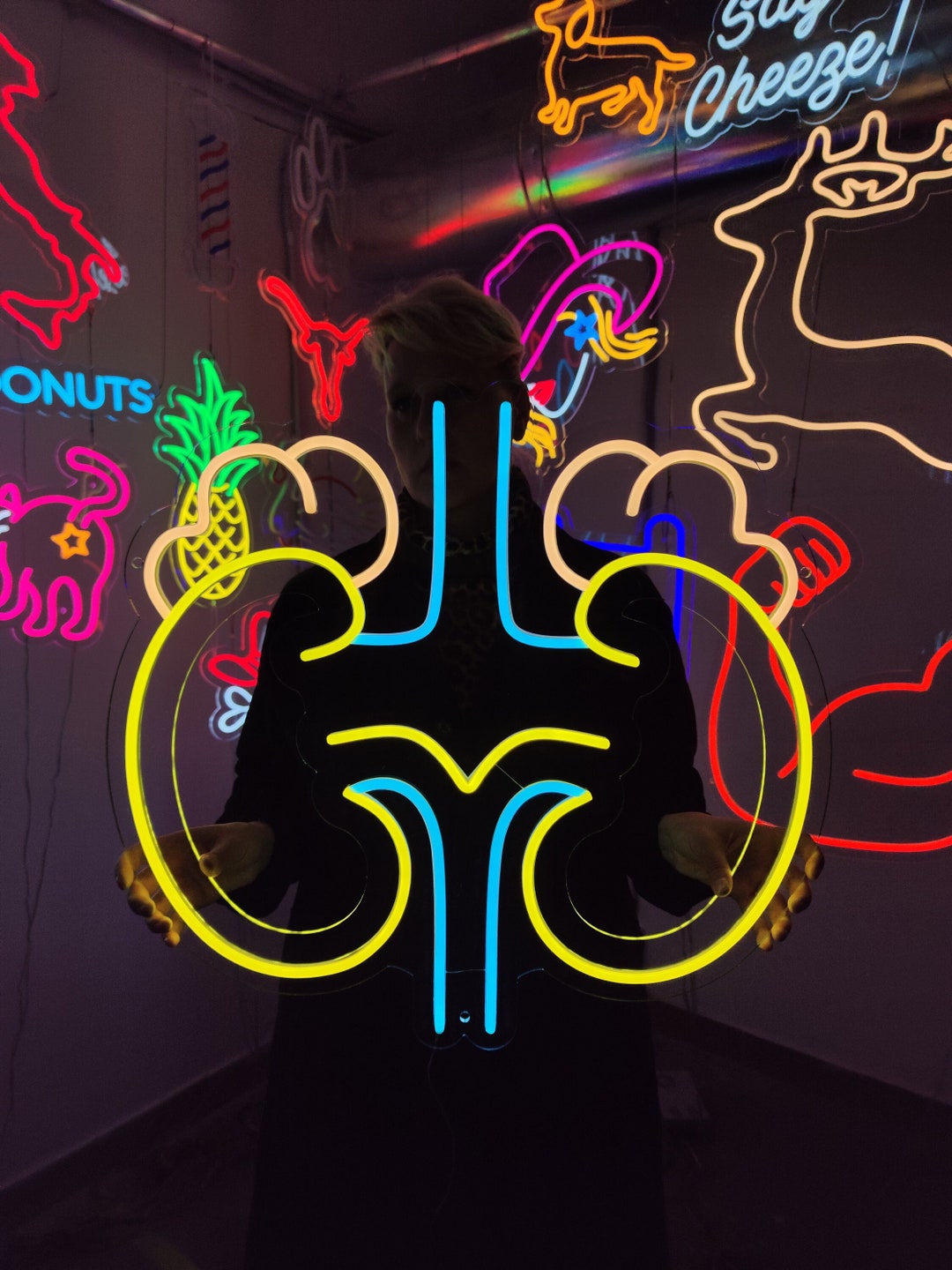 Kidneys Neon Sign, Human Kidneys Led Sign, Human Organ Decor Led Light ...