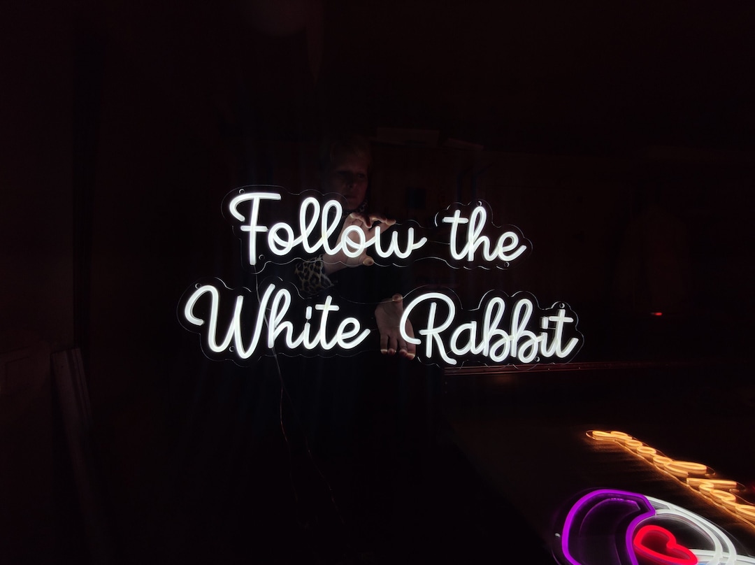 Follow the White Rabbit Neon Sign, Wonderland Led Neon Light, White ...