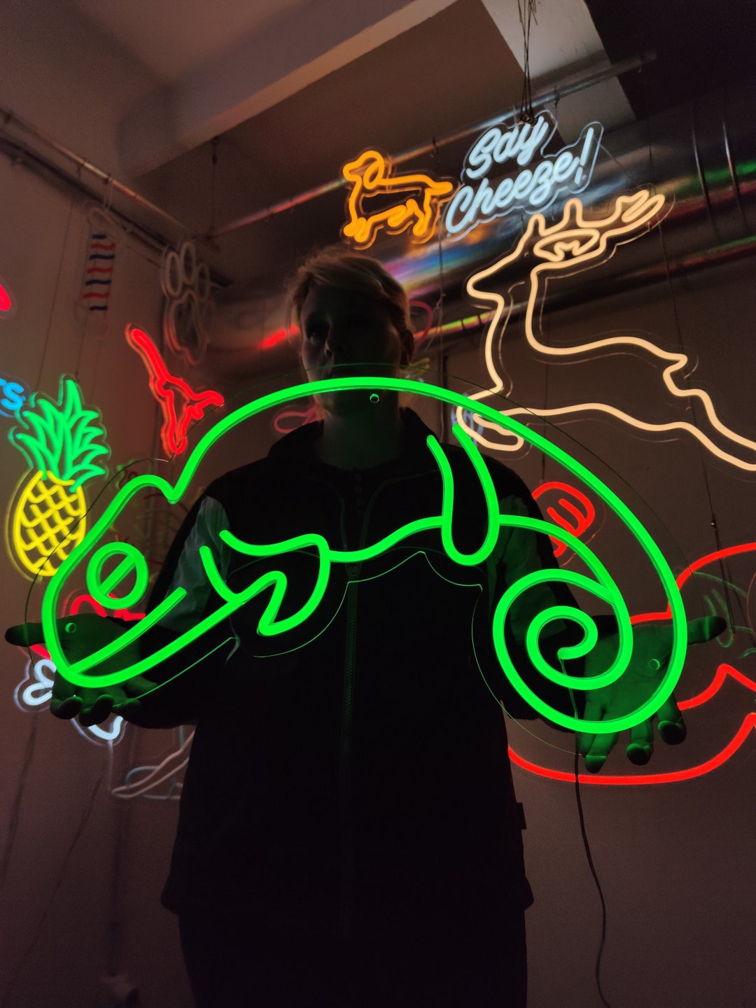 Сhameleon Neon Sign, Multicolor Chameleon Led Neon Sign, сustom Led ...