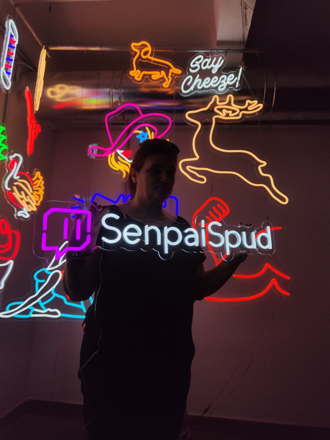 Custom Twitch Username Neon Sign, Custom Gamer Tag Neon Led Sign for ...