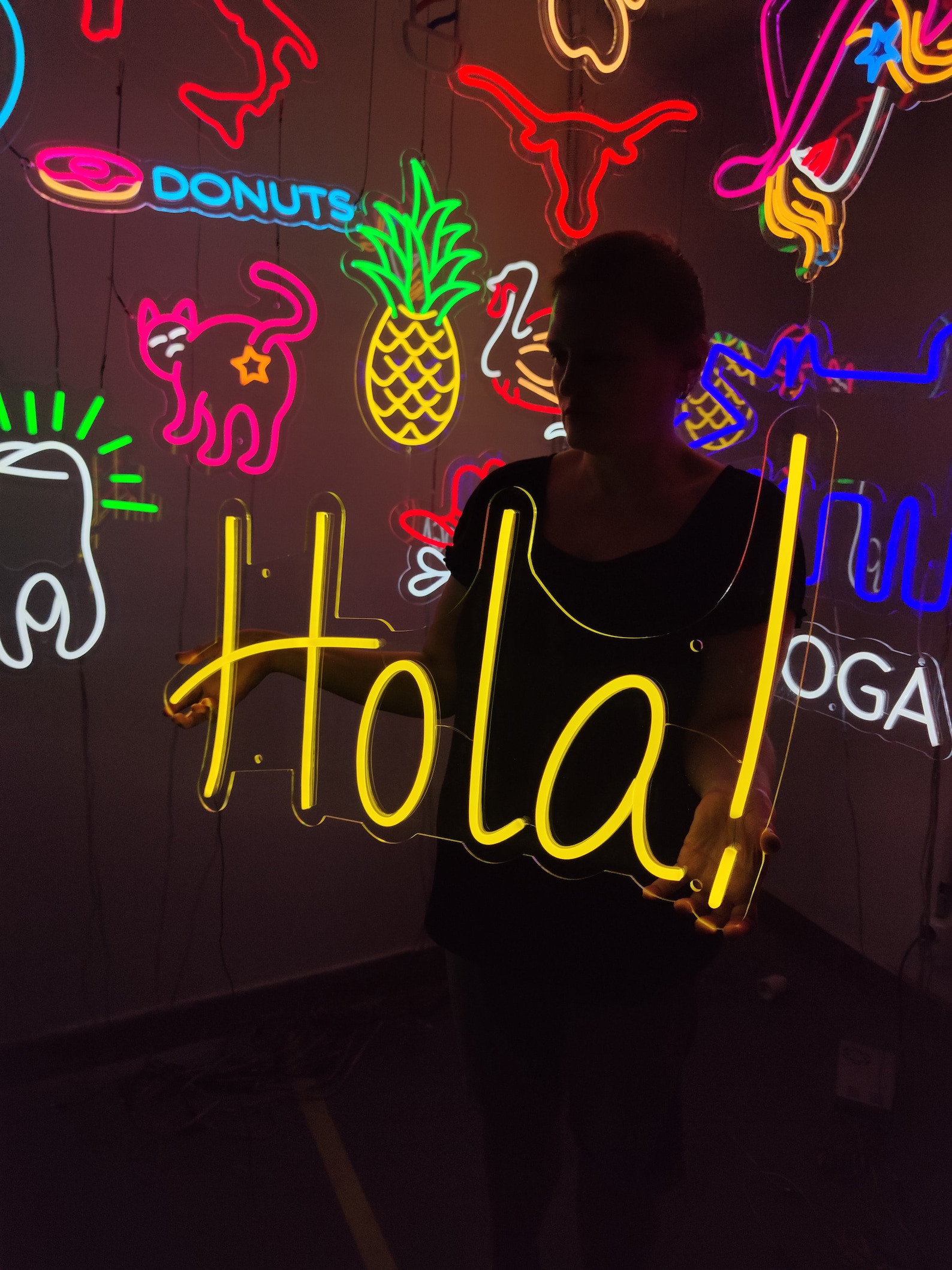 Hola Neon Sign, Hello Sign, Spanish Led Sign, Greeting Neon Light, Wall ...