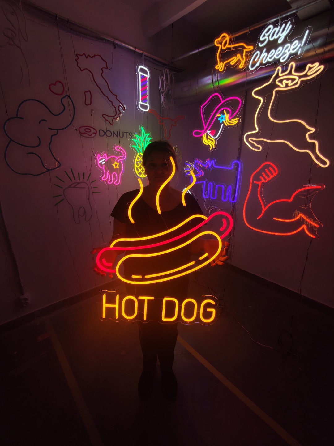Hot Dog Neon Sign, Fast Food Led Neon, Street Food Led Lights, Hot Dog ...