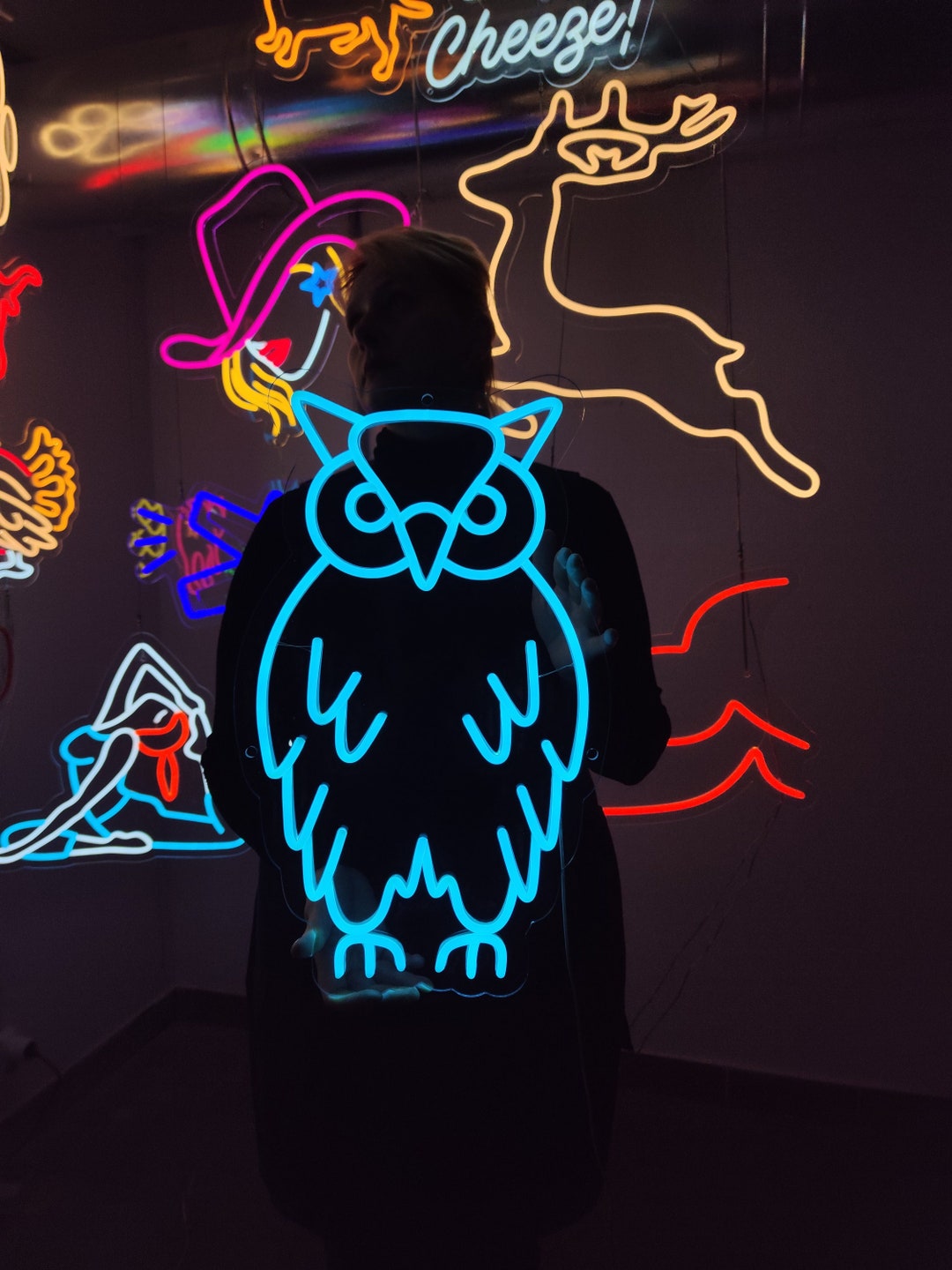 Owl Neon Sign, Animal Neon Light, Owl Led Light Home Decor, Custom ...
