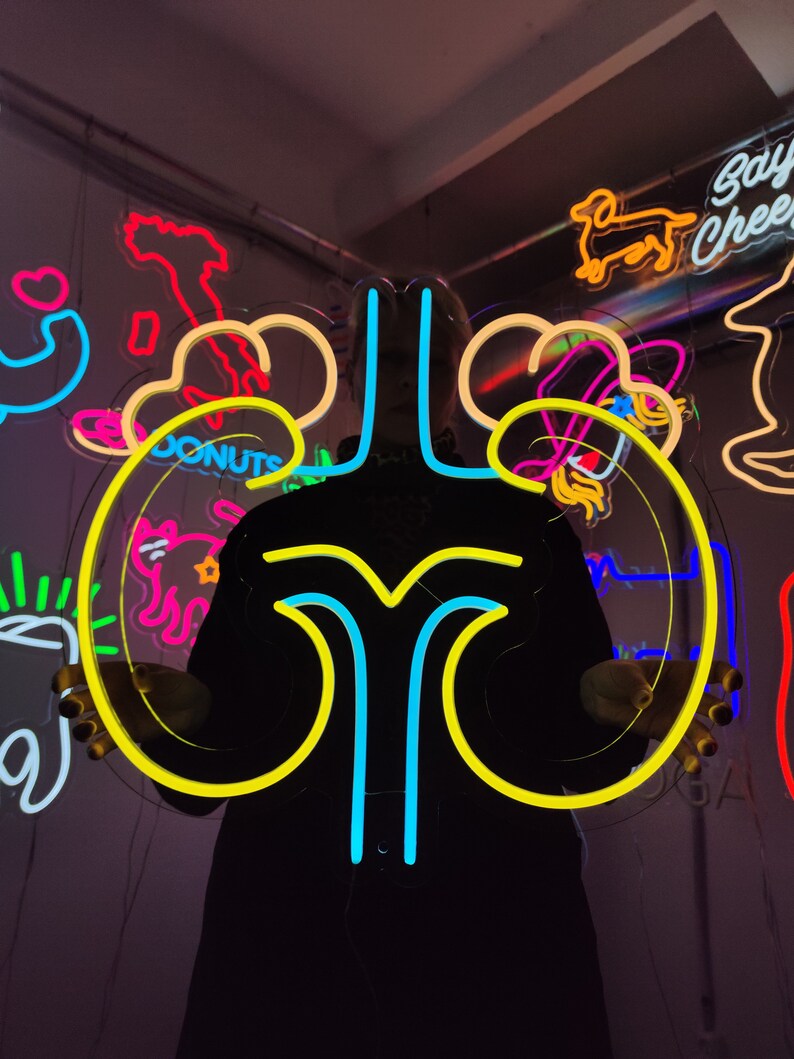 Kidneys Neon Sign, Human Kidneys Led Sign, Human Organ Decor Led Light ...