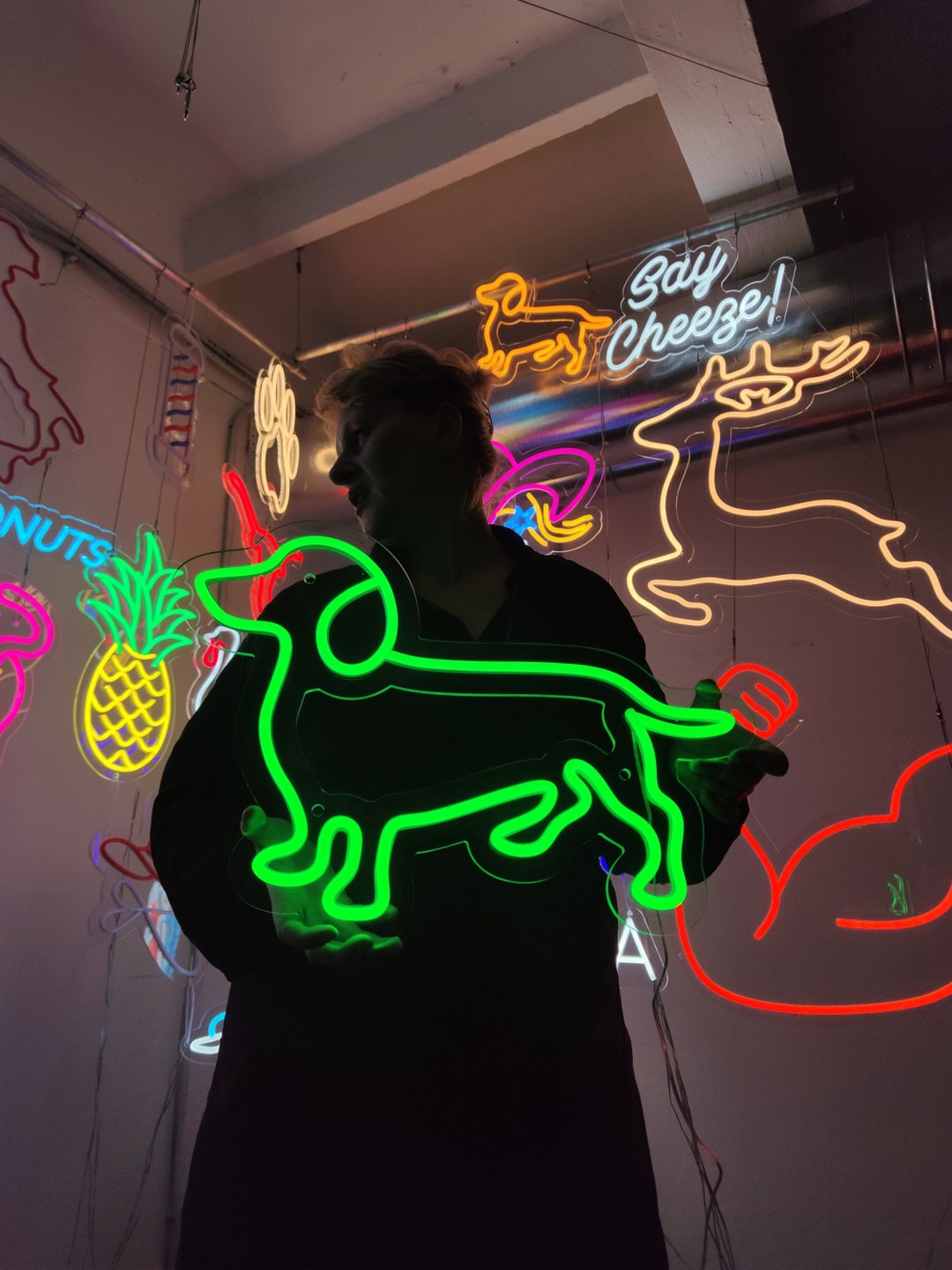 Dachshund Neon Sign, Dog LED Neon, Badger Dog Lights, Animals Led Sign ...