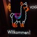 Custom Animal Neon Sign. Llama, Alpaca, Camel, Vicuña, Guanaco, Donkey ...