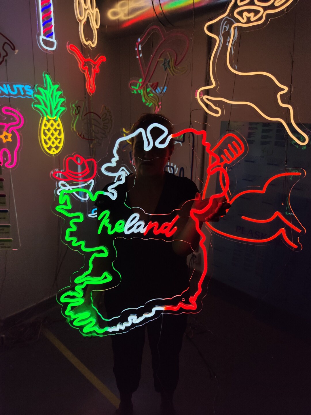 Ireland Map Neon Sign, the Second-largest Island of the British Isles ...