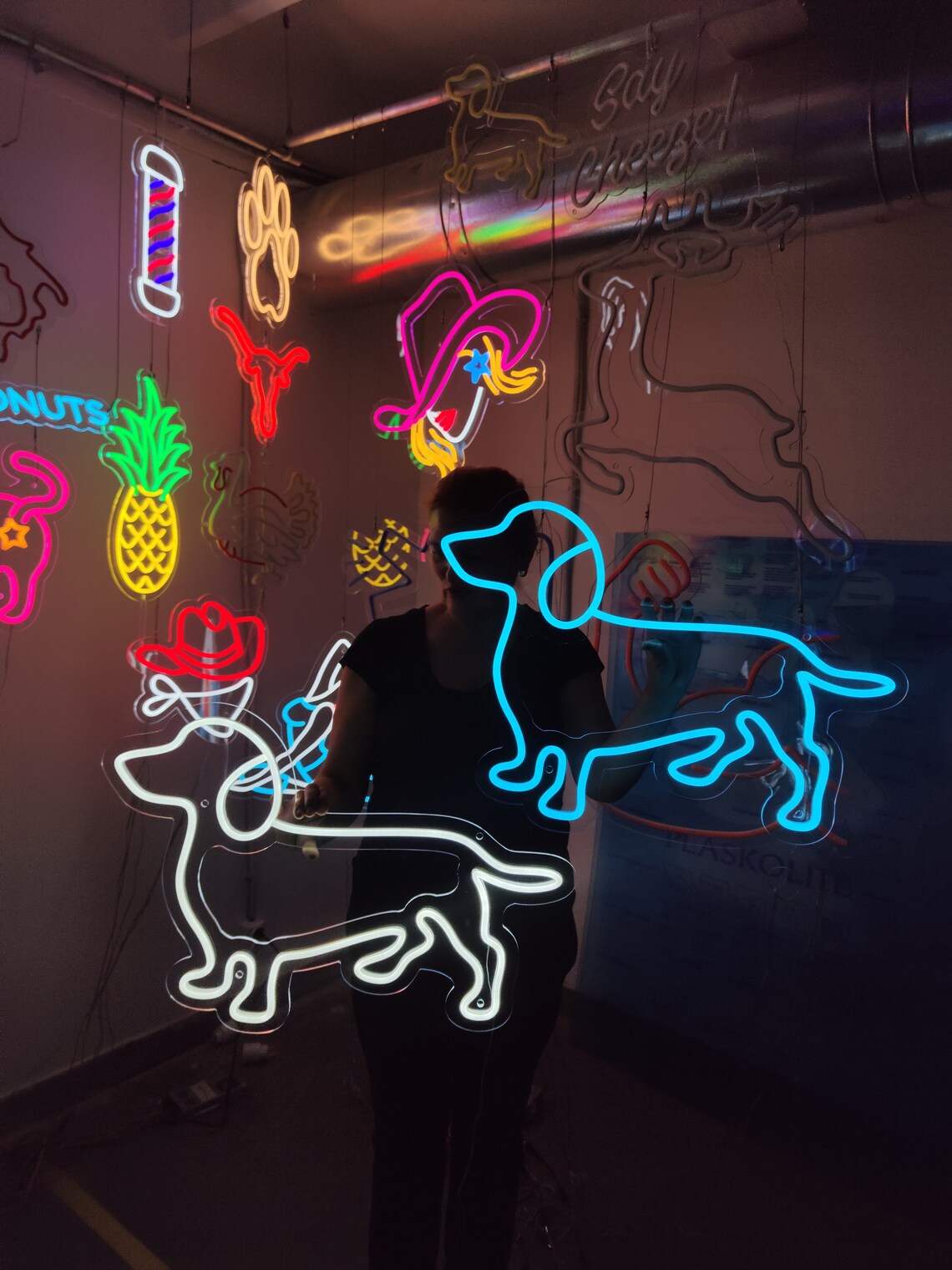 Dachshund Neon Sign, Dog LED Neon, Badger Dog Lights, Animals Led Sign ...