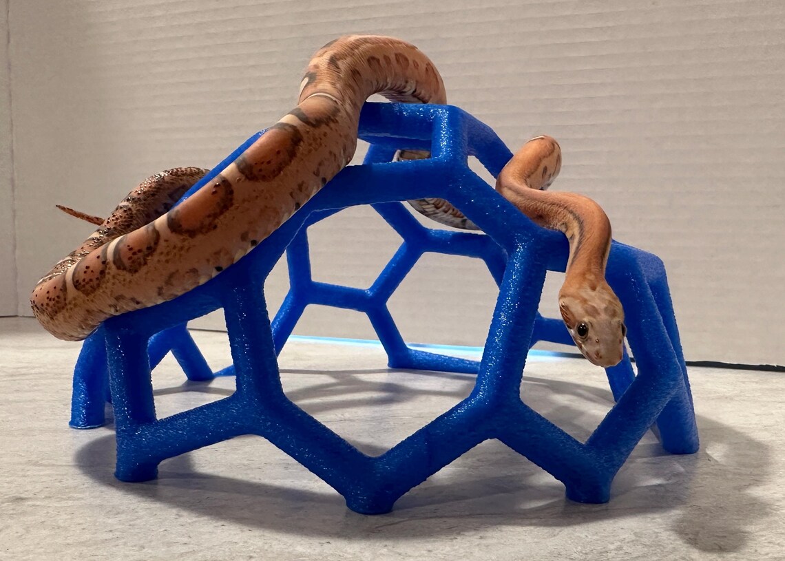 Reptile Jungle Gym - Enrichment for Snakes & Lizards - Large (blue) 7.5 ...