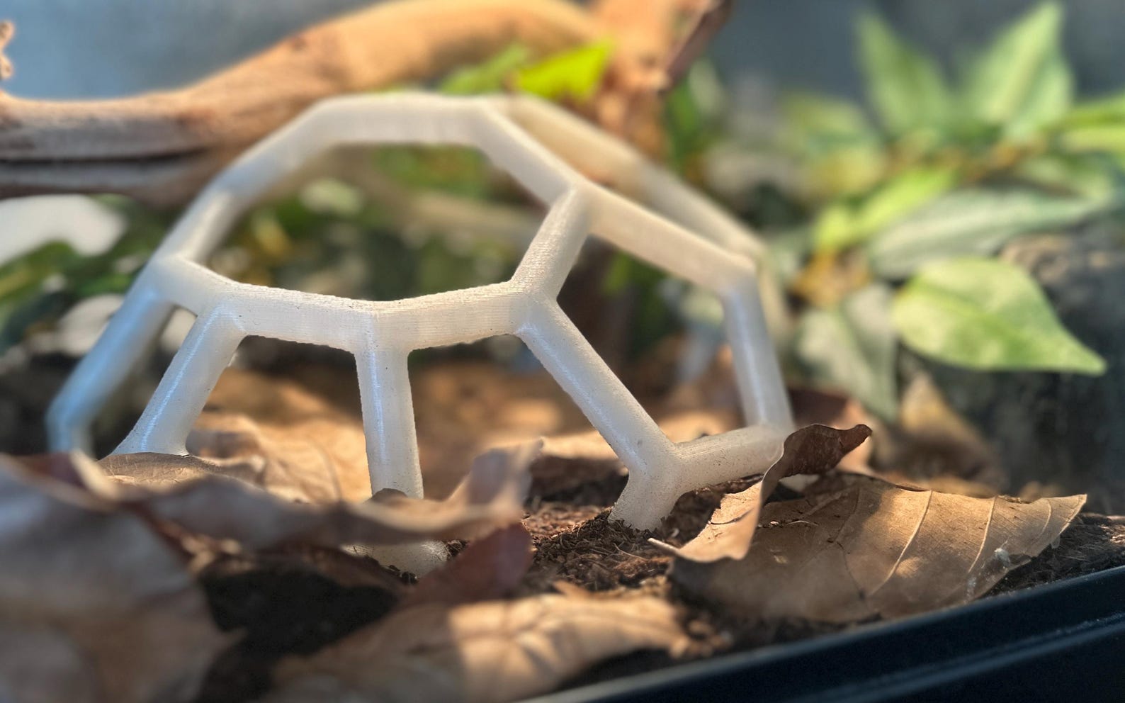 Reptile Jungle Gym - Enrichment for Snakes & Lizards - Large (blue) 7.5 ...