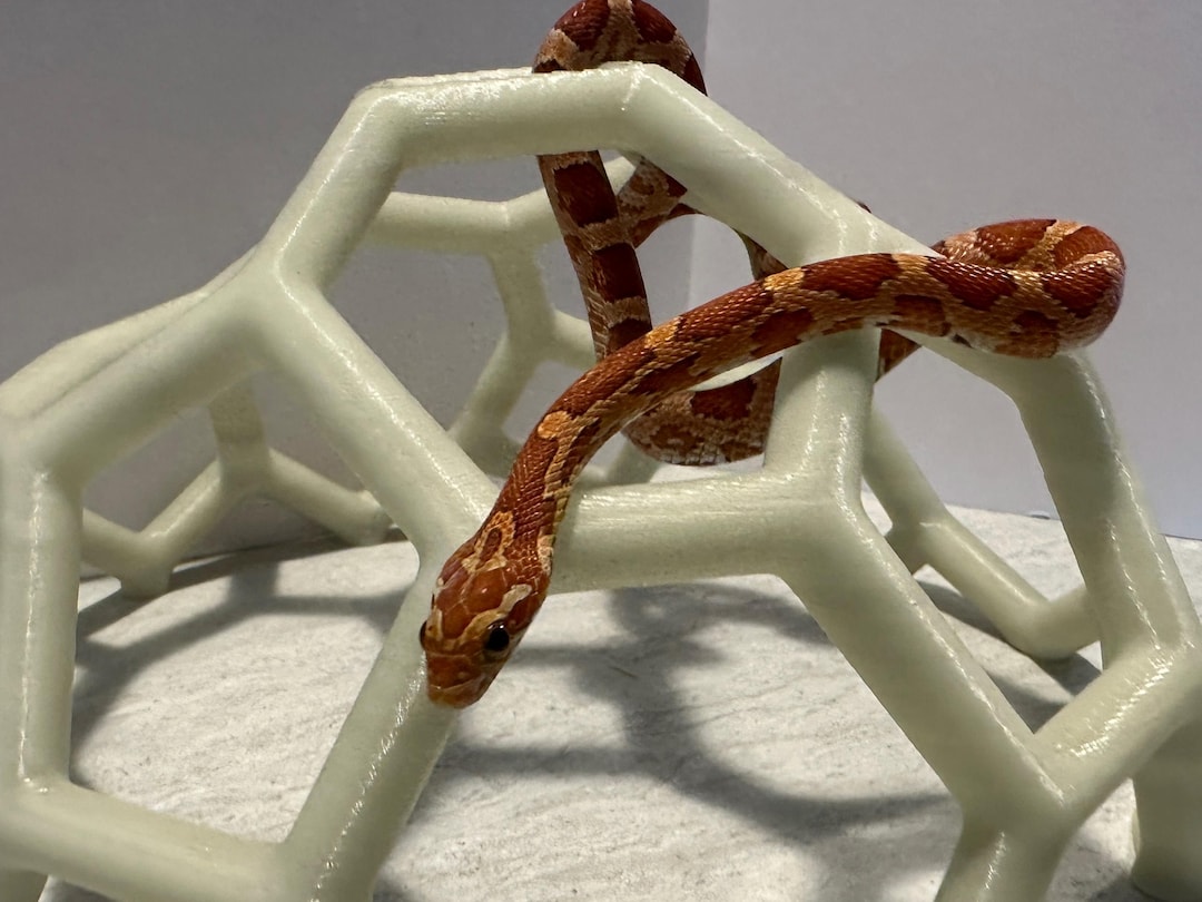 Reptile Jungle Gym Enrichment for Snakes & Lizards Large glow in the ...