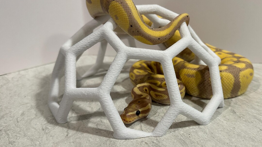 Reptile Jungle Gym - Enrichment for Snakes & Lizards - Large (white) 7. ...