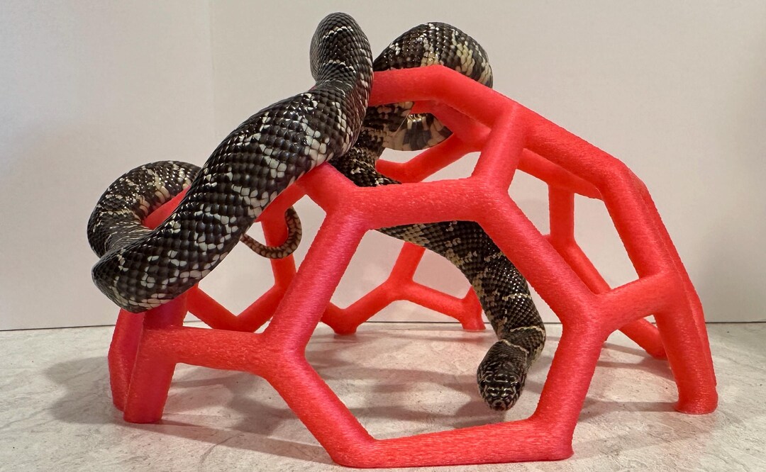 Reptile Jungle Gym - Enrichment for Snakes & Lizards - Large (pink) 7.5 ...
