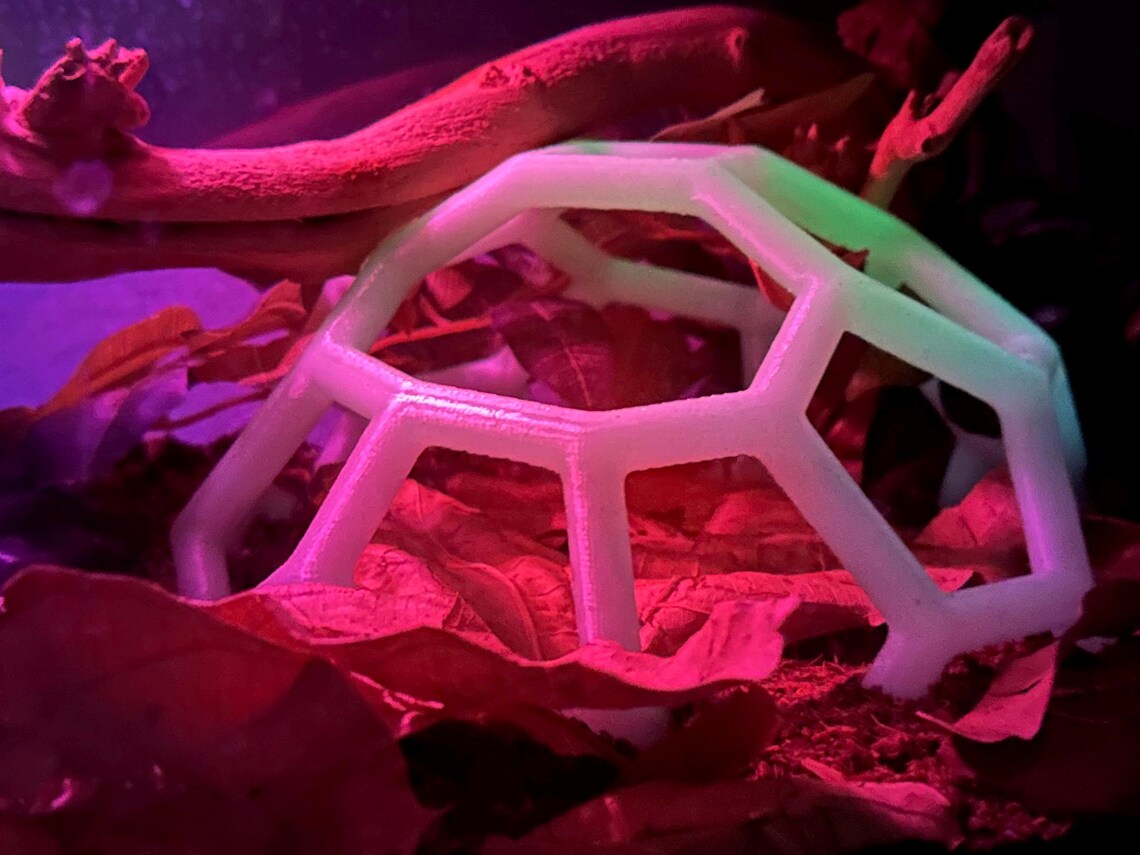 Reptile Jungle Gym - Enrichment for Snakes & Lizards - Large (blue) 7.5 ...