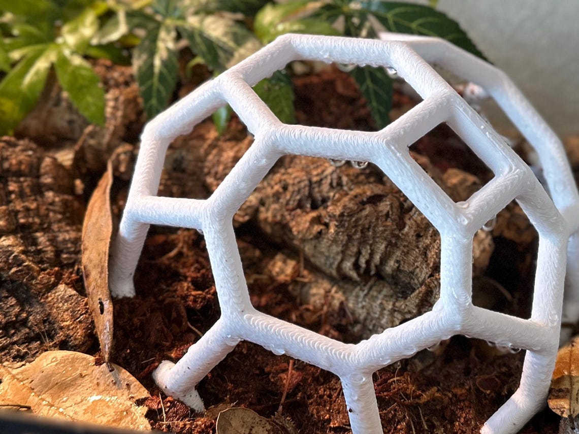 Reptile Jungle Gym - Enrichment for Snakes & Lizards - Large (blue) 7.5 ...