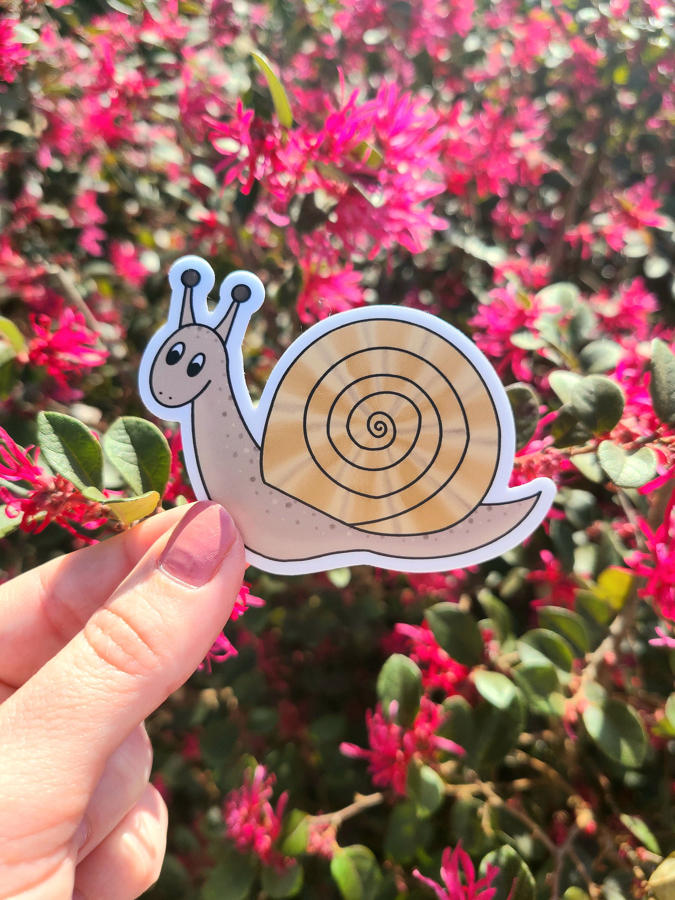Snail Vinyl Sticker, Garden Friend Decal, Gastropod Nature Critter ...
