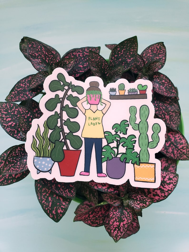 Plant Lady Clear Vinyl Sticker Pot Decor Decal Friend Gift - Etsy