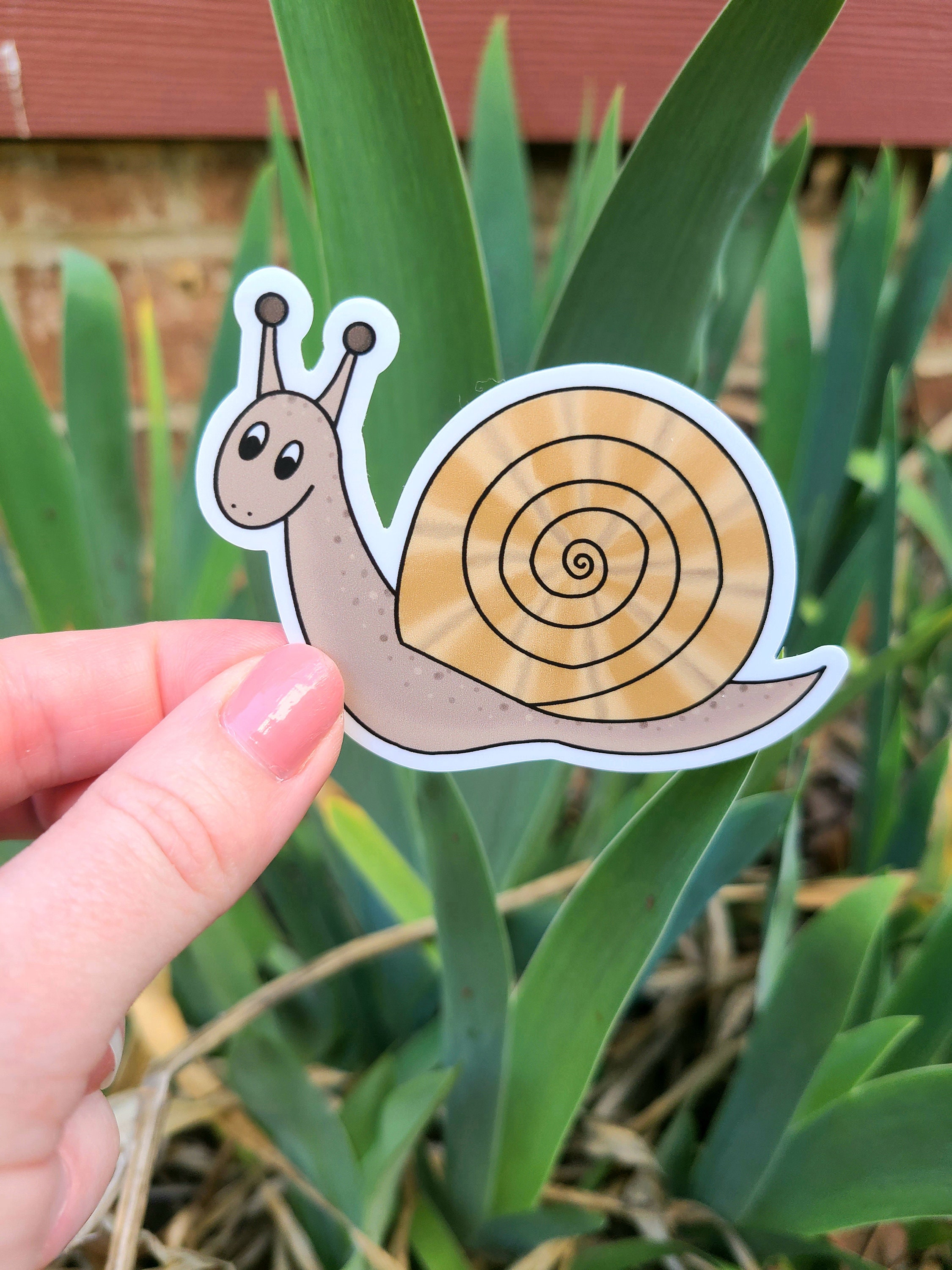 Snail Vinyl Sticker Garden Friend Decal Gastropod Nature | Etsy