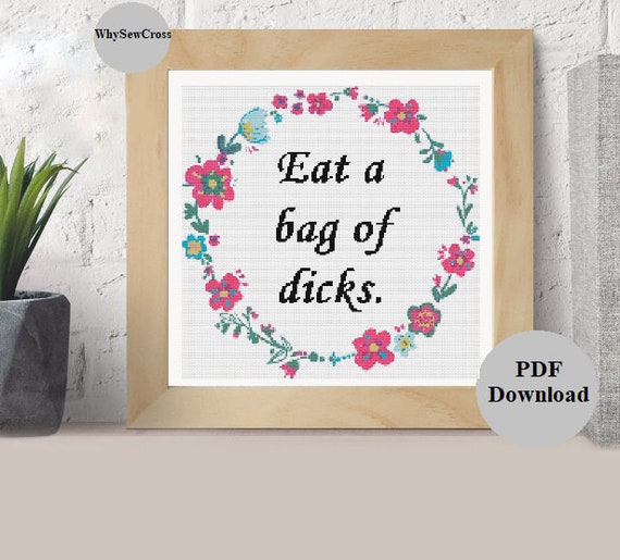 Offensive Cross Stitch Pattern Crude Cross Stitch Funny | Etsy
