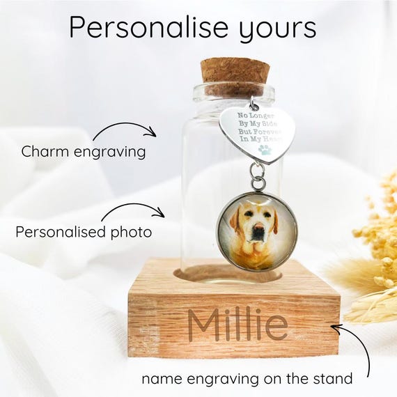Cat Fur Memorial Bottle Pet Hair Memorial Keepsake Bottle - Cat Dog Fur ...