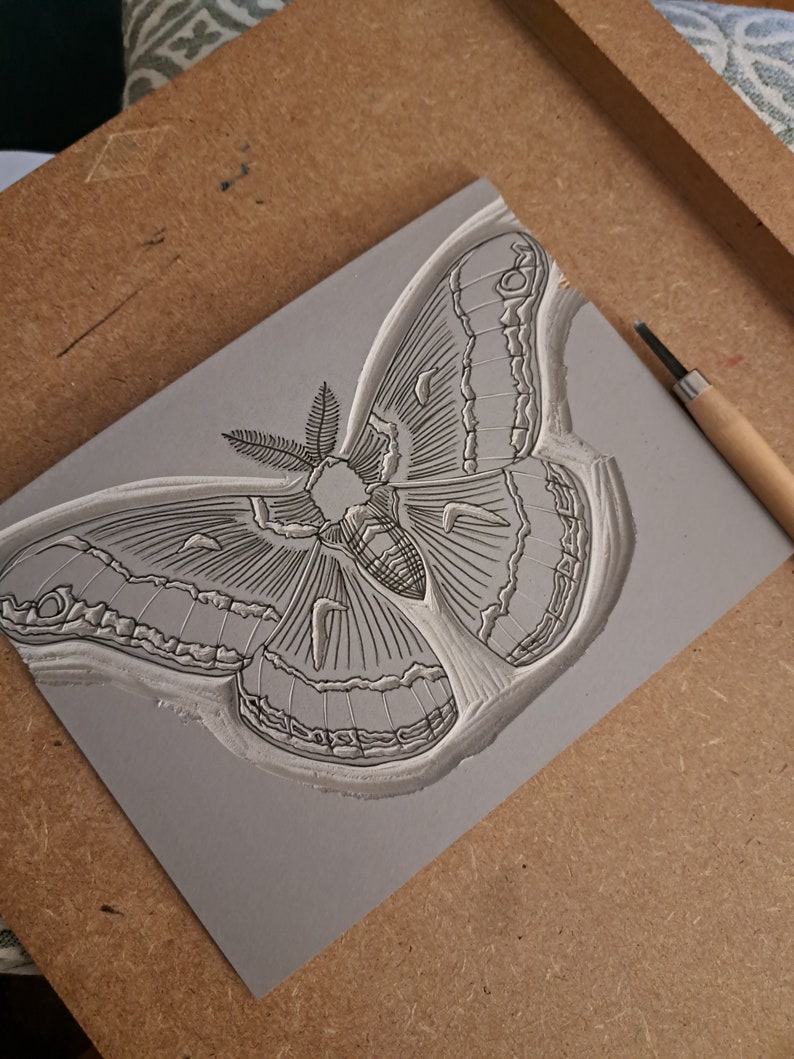Atlas Moth Linocut Print Insect Wall Art Handcrafted Lino Block - Etsy