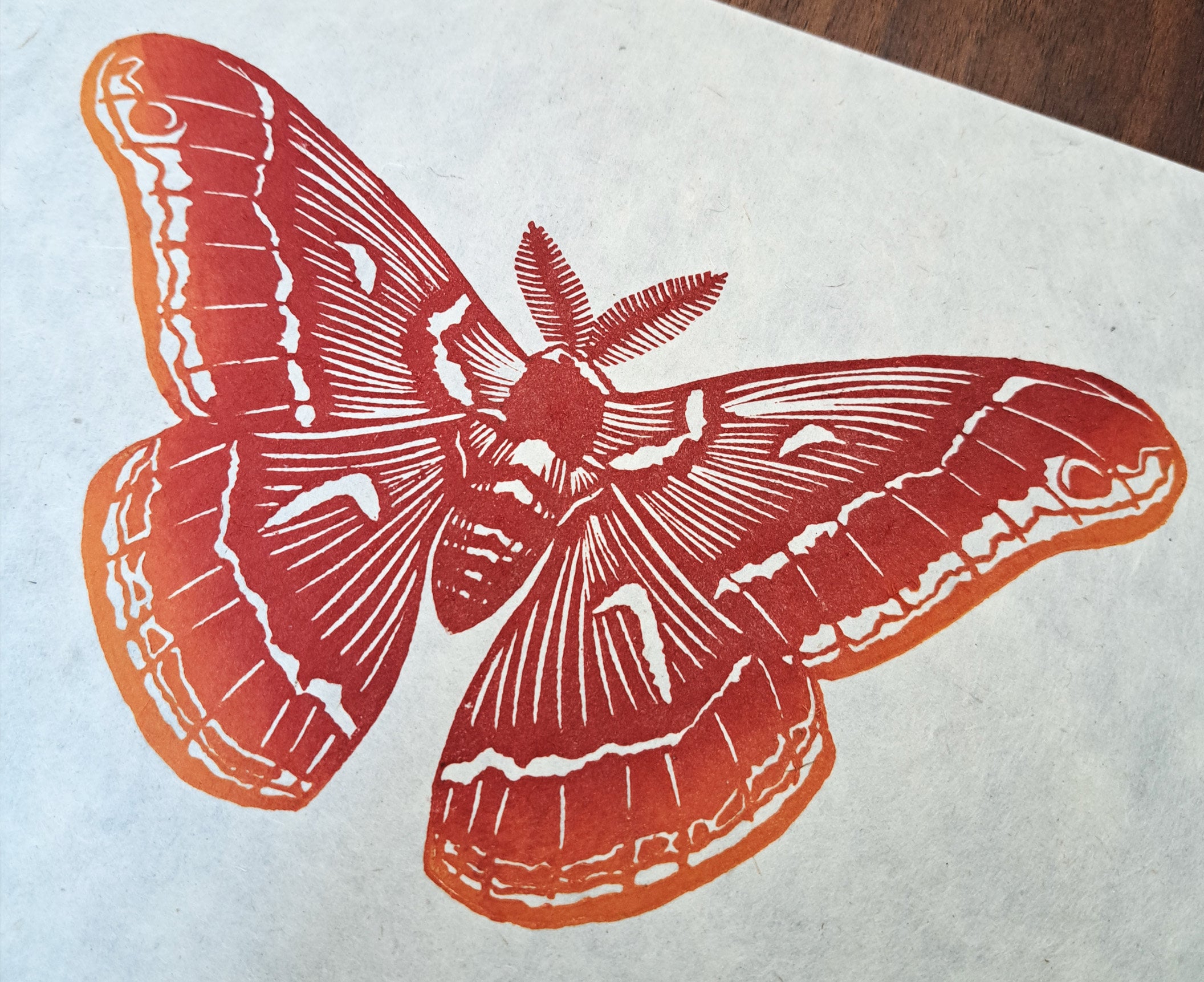 Atlas Moth Linocut Print Insect Wall Art Handcrafted Lino Block - Etsy