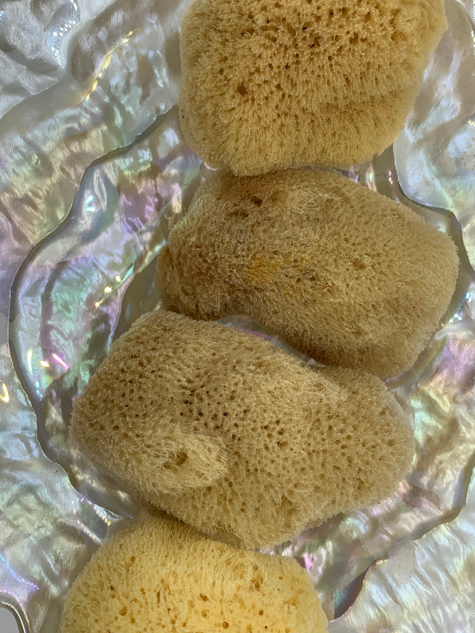 Sea Silk Sponge Facial Sponge Natural Sea Silk Sponge - Etsy
