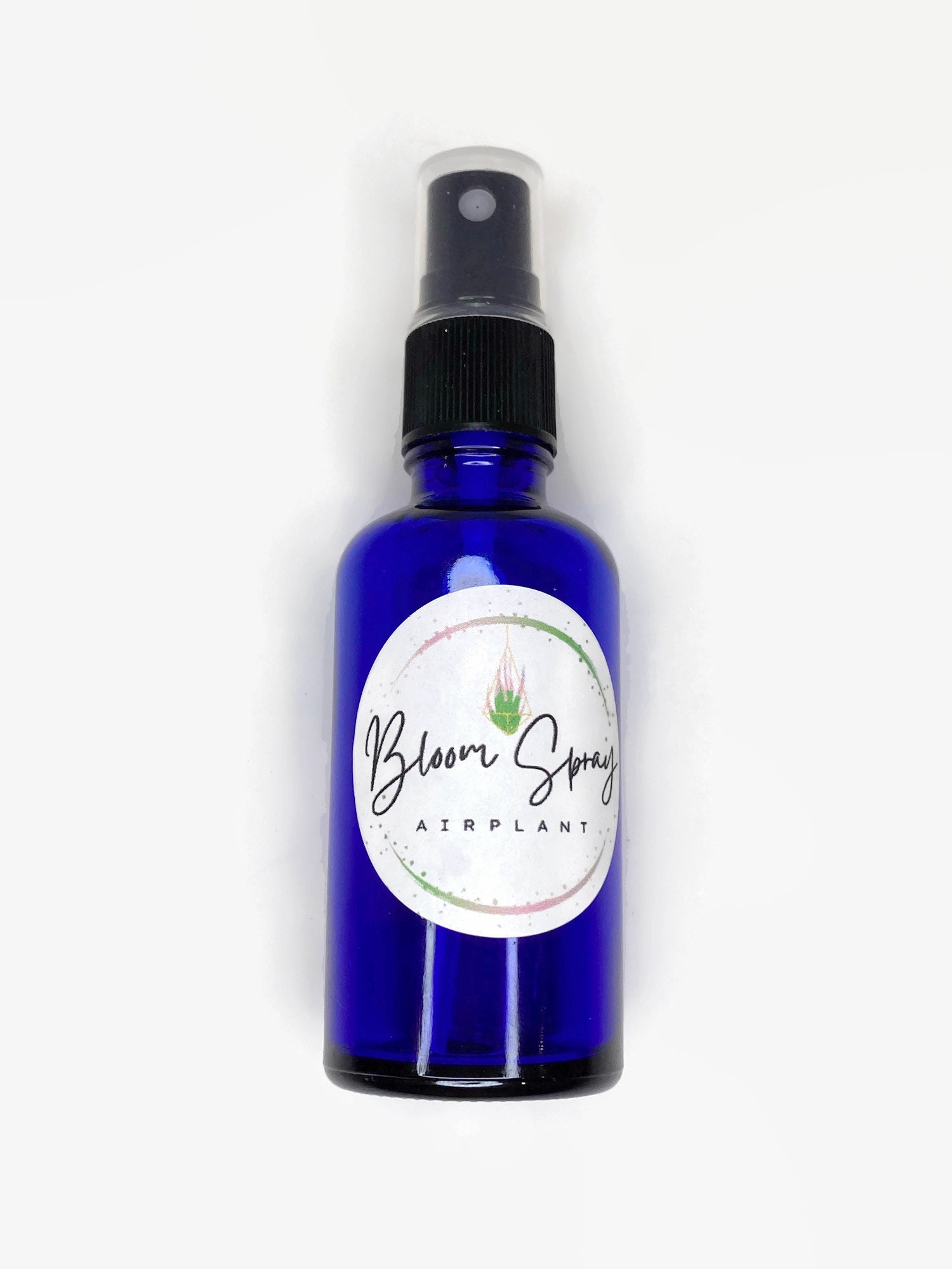 Bloom Spray Air Plant Food, Grow Tillandsia's Faster, Airplant, Air ...