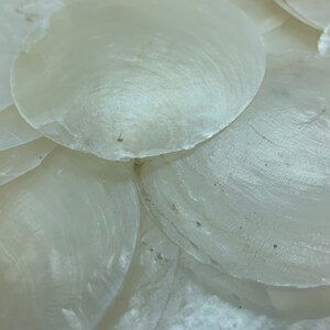Capiz Shells Round 3" - Flat Shells - Natural Cream Capiz - Beach ...