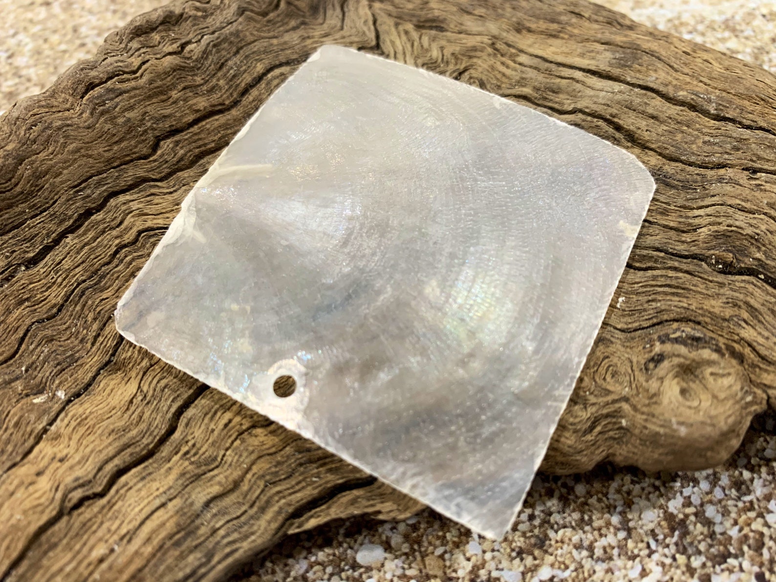 Capiz Shell Square 2 Square Capiz Flat shells Natural | Etsy