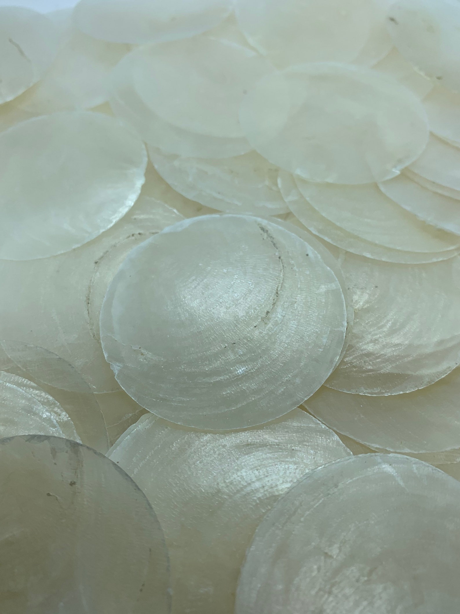 Capiz Shells Round 2 Flat Shells Natural Cream Capiz - Etsy