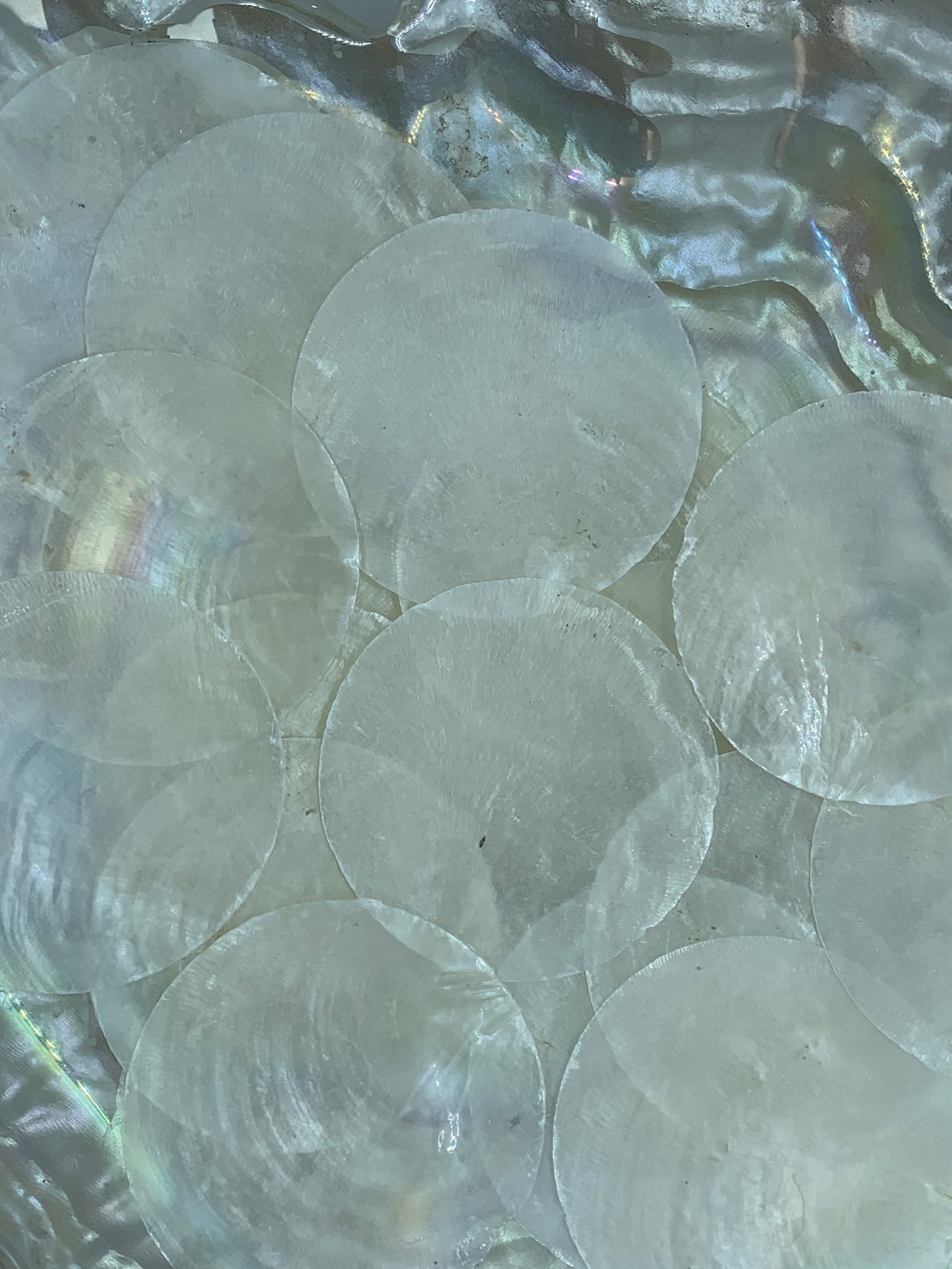 Capiz Shells Round 2 Flat Shells Natural Cream Capiz - Etsy