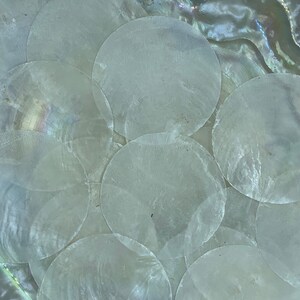 Capiz Shells Round 2" - Flat Shells - Natural Cream Capiz - Beach ...