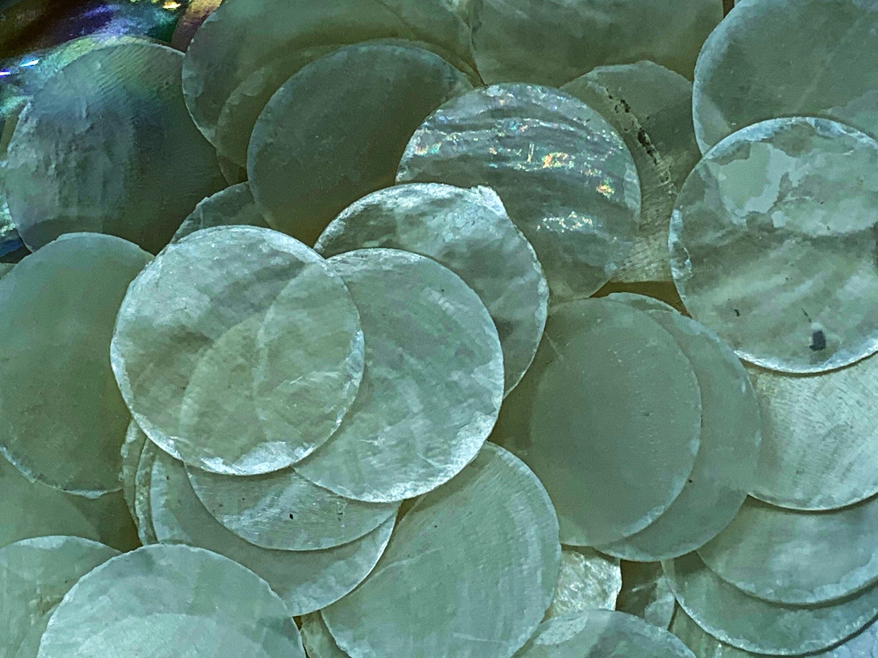 Capiz Shells Round 1 Flat Shells Natural Cream Capiz | Etsy