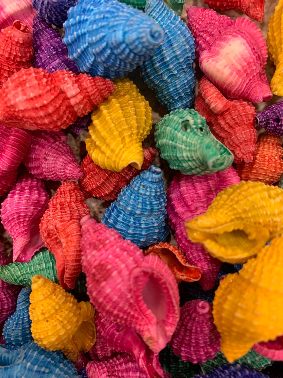 Mini Dyed Seashells, Small Shell Mix, Tiny Seashells, Crafting Shells ...