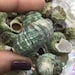 Turbo Stenogyrus Shells-green Turbo Shells-shells for Crafting-decor ...