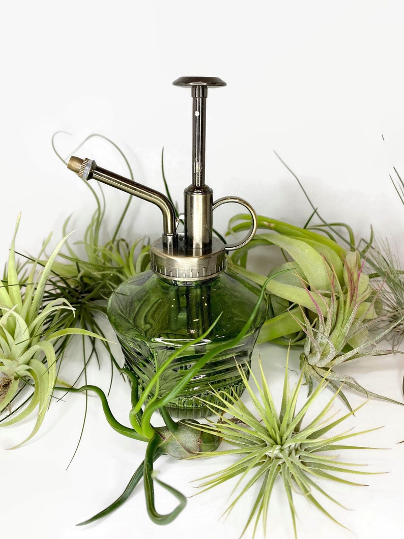Green Glass Plant Sprayer Air Plant Spritzer Old Glass Plant - Etsy