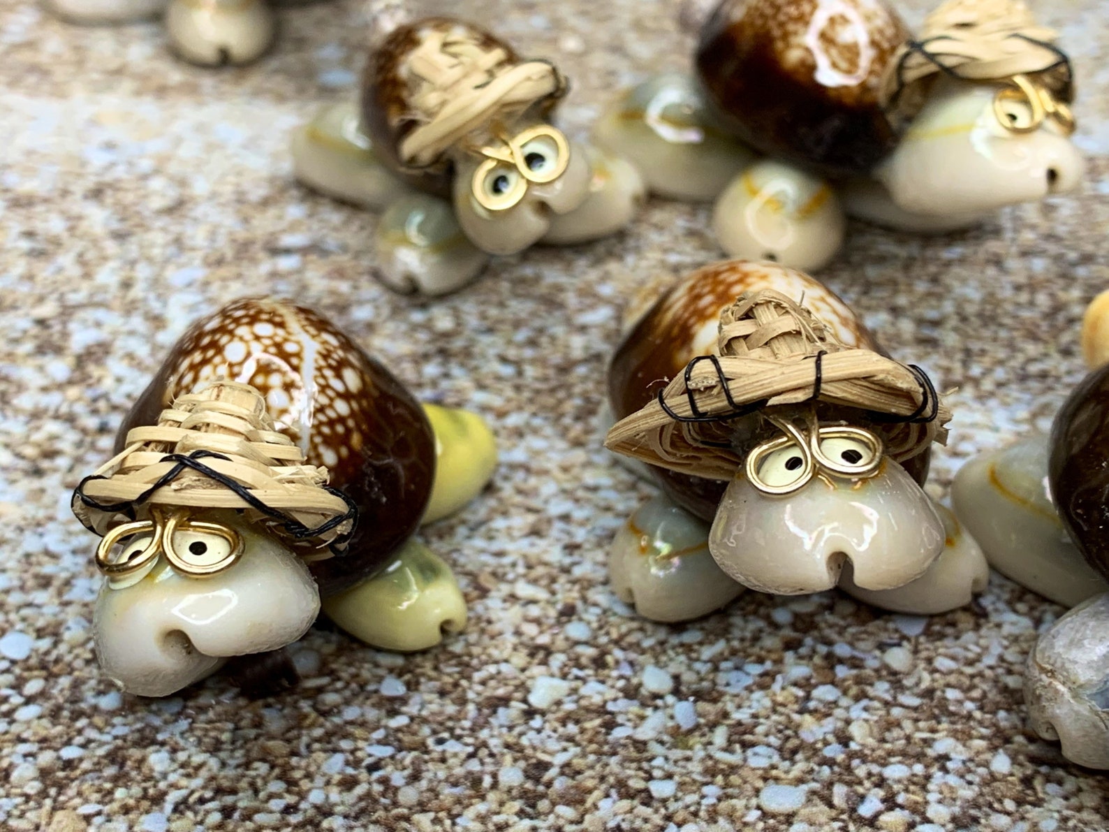 Seashell Cowrie Turtle Shell Tiny Turtle Made From Cowry Sea Shell ...