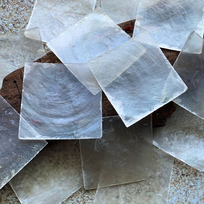 Capiz Shells - Etsy