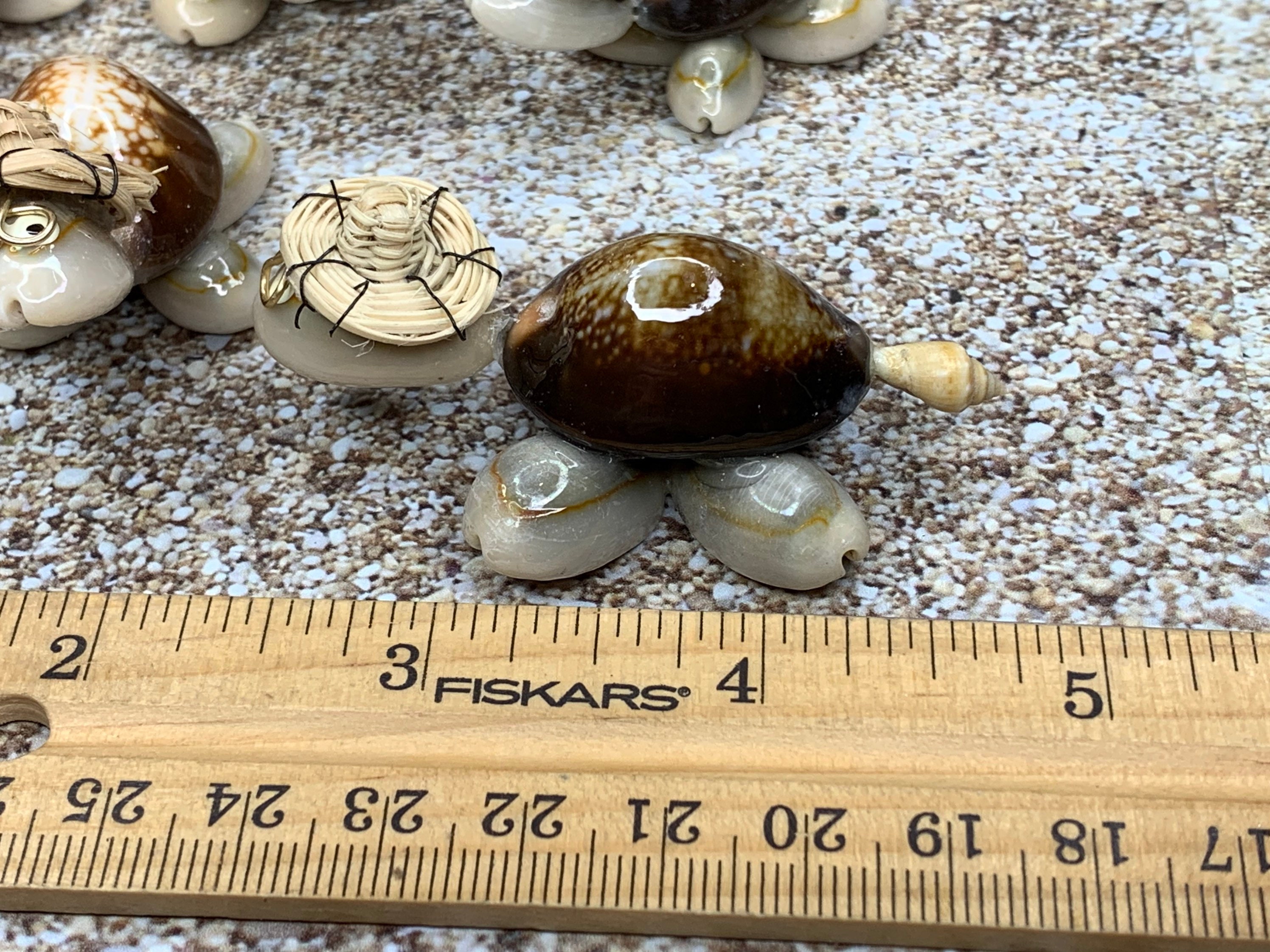 Seashell Cowrie Turtle Shell Tiny Turtle Made From Cowry Sea Shell ...