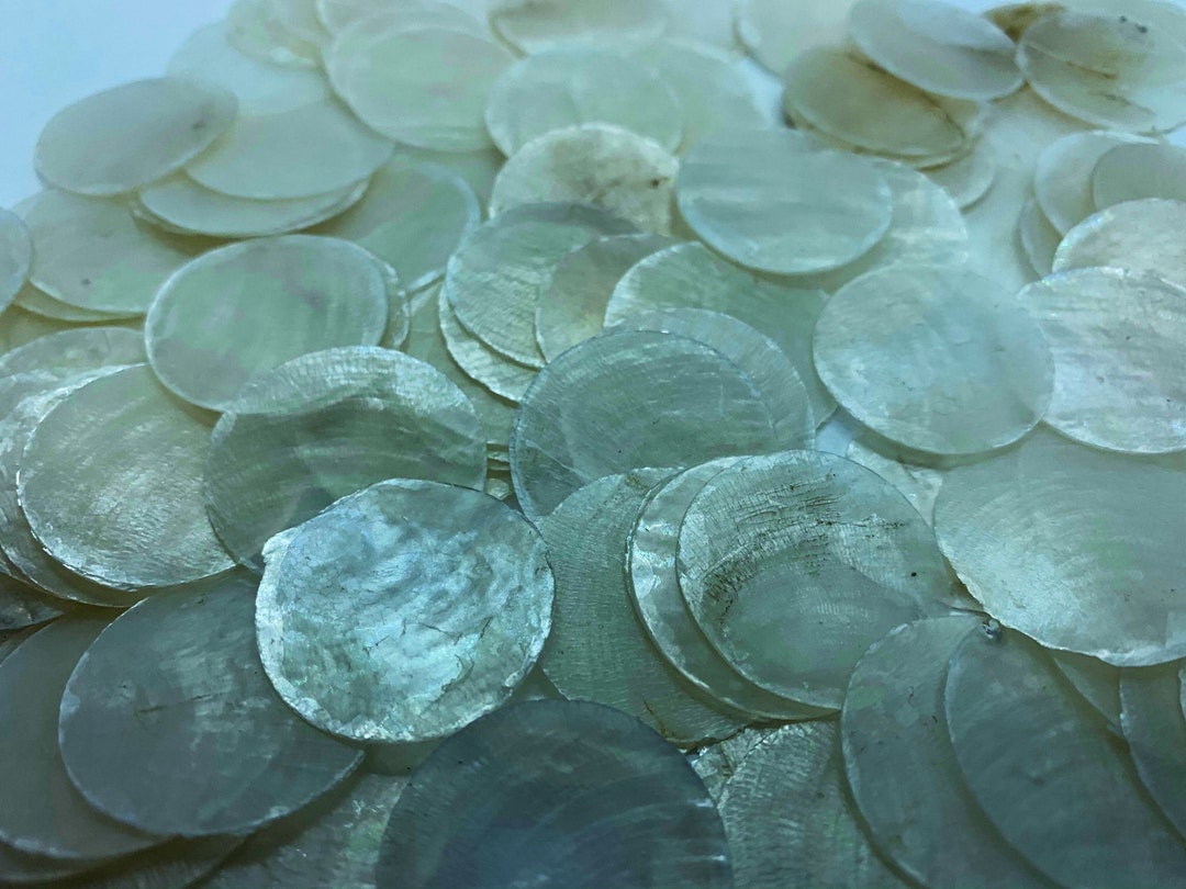 Capiz Shells Round 1" - Flat Shells - Natural Cream Capiz - Beach ...