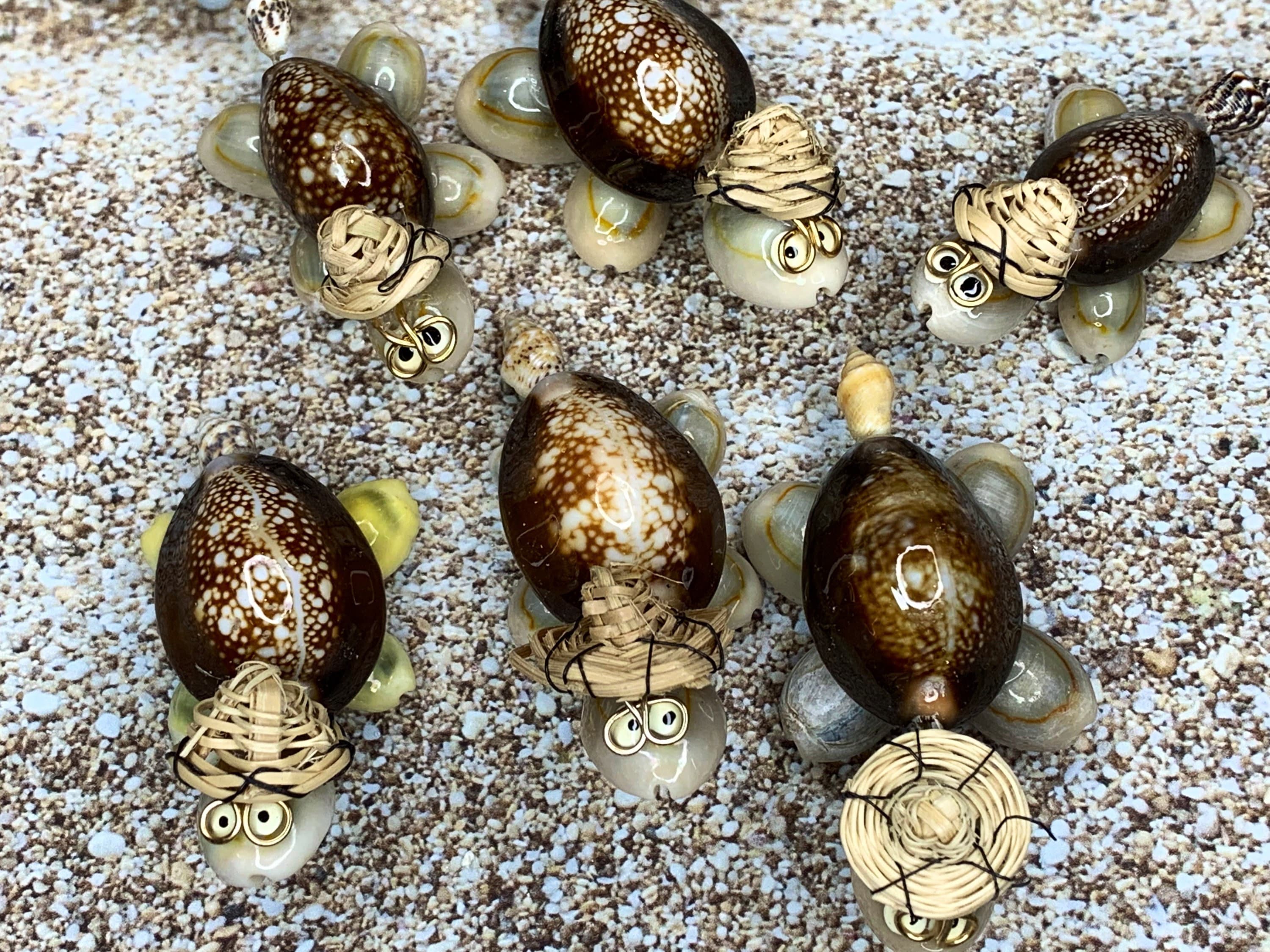 Seashell Cowrie Turtle Shell Tiny Turtle Made From Cowry Sea Shell ...