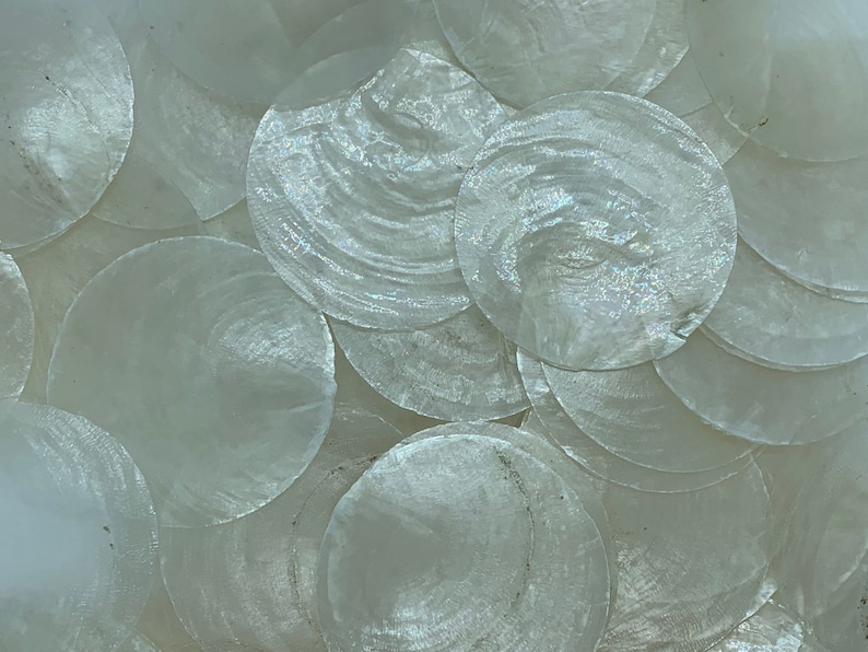 Capiz Shells Round 2 Flat Shells Natural Cream Capiz - Etsy