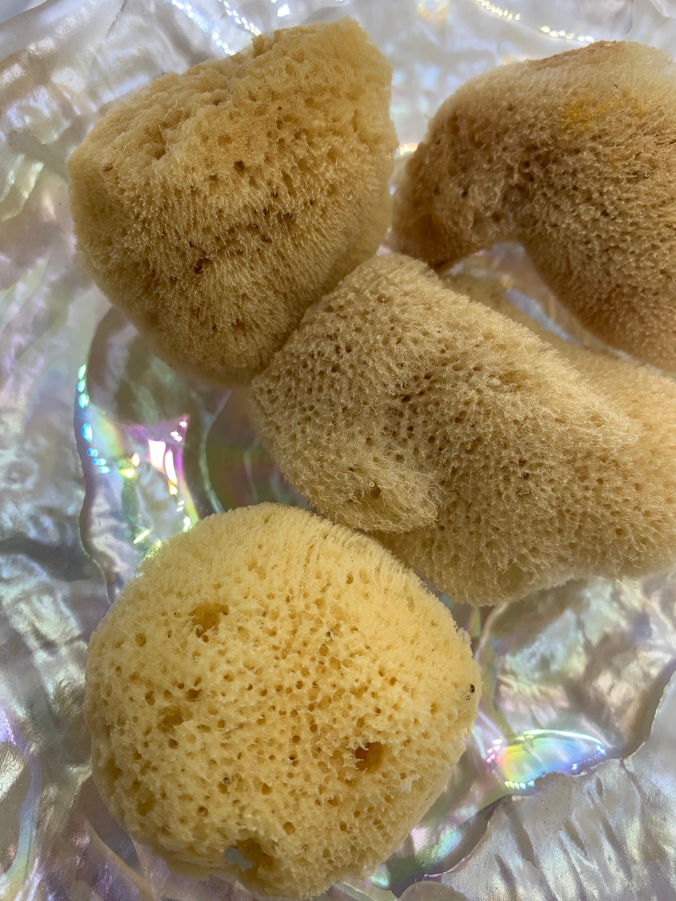 Sea Silk Sponge Facial Sponge Natural Sea Silk Sponge - Etsy