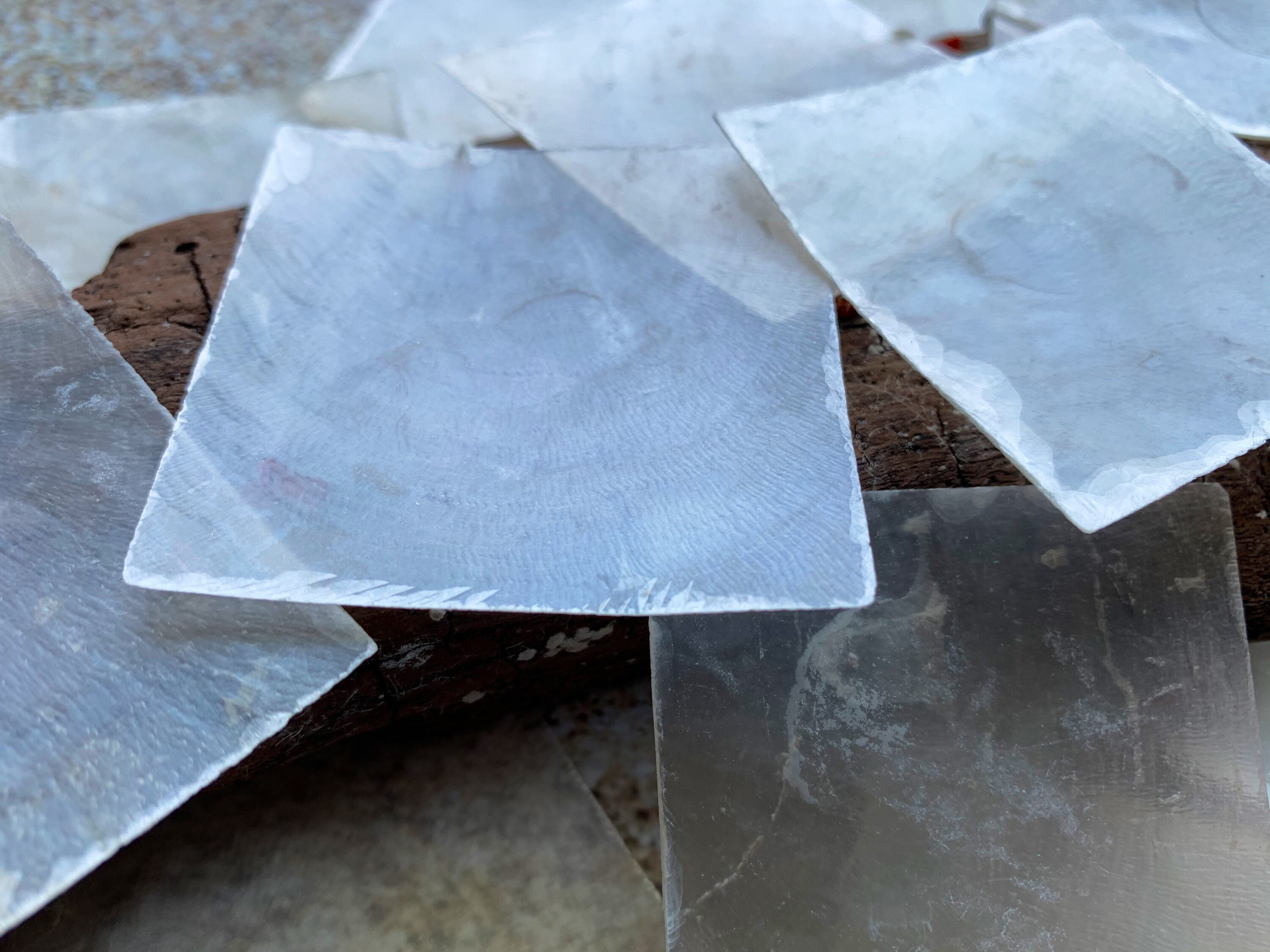 Capiz Shell Square 2 Square Capiz Flat shells Natural | Etsy